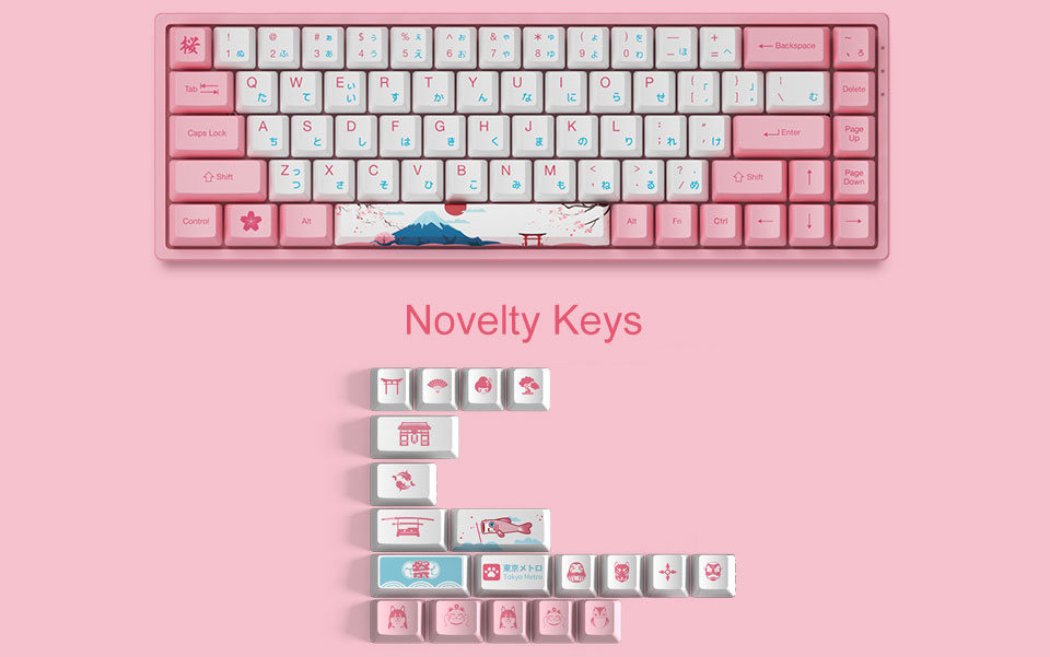 Buy Akko World Tour Tokyo R2 Keyboard 3068S RGB Gateron Pink ...