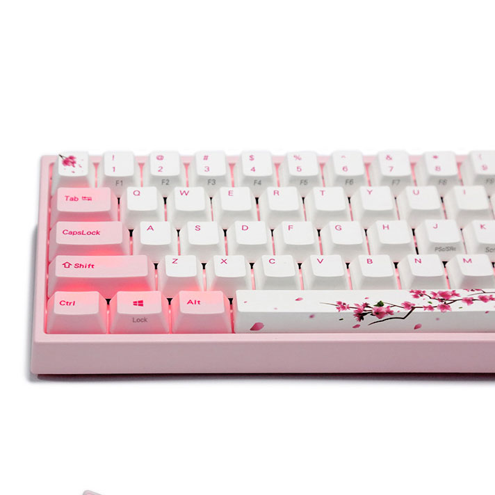 Buy Ducky MIYA Pro Sakura Wireless Mech Keyboard Cherry Silent ...