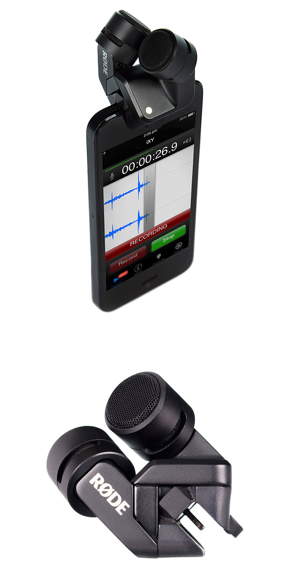 Buy Rode i-XY Lightning Stereo Microphone for Apple iPhone & iPad [RODE ...