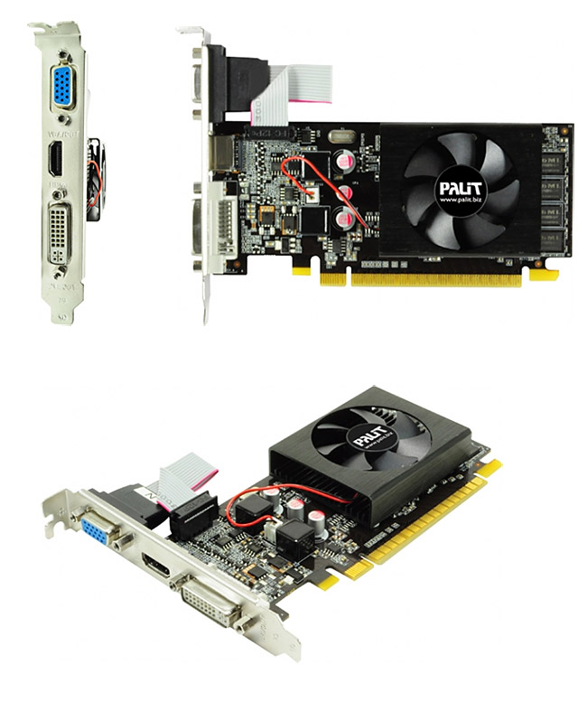 Buy Palit GeForce GT 610 1GB [VCP-GT610-1G] | PC Case Gear Australia