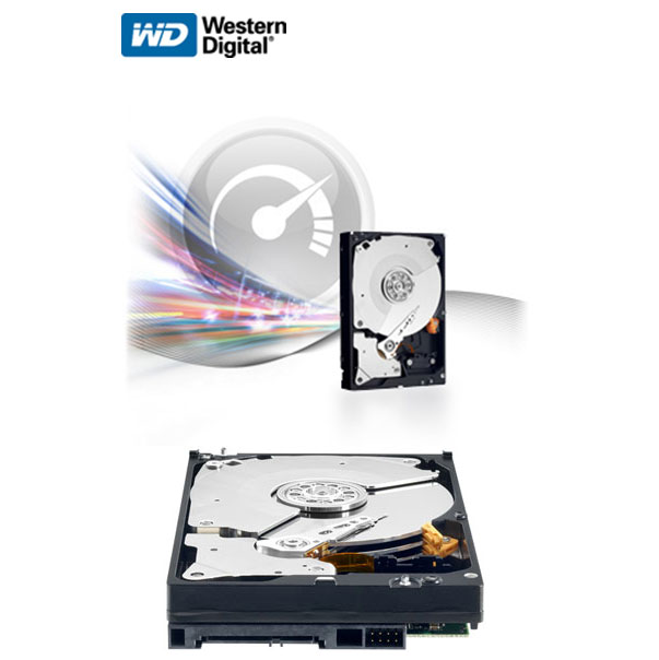 Buy Western Digital Caviar Black 2TB WD2001FASS [WD2001FASS] | PC Case ...