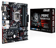 Buy ASUS Prime B250M Plus Motherboard [PRIME-B250M-PLUS] | PC Case Gear ...
