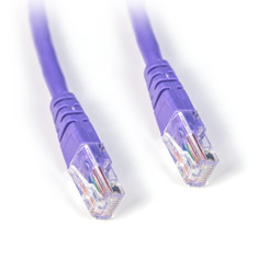 Buy PCCG Cat 6 Ethernet Cable Purple 50cm [CAT-UTP-0.5PR] | PC Case ...