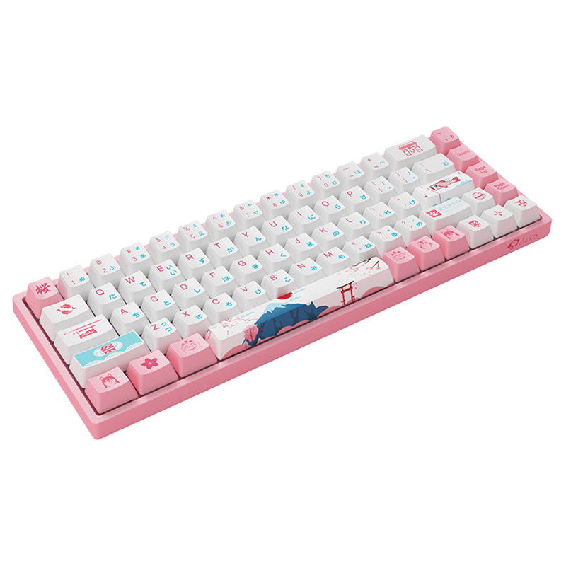 Buy Akko World Tour Tokyo R2 Keyboard 3068S RGB Gateron Pink ...
