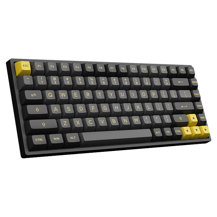Buy Akko 3084B Plus Black/Gold RGB Hot-Swap TTC Demon Switch ...