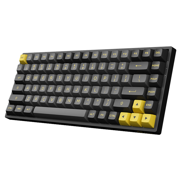 Buy Akko 3084B Plus Black/Gold RGB Hot-Swap TTC Demon Switch ...