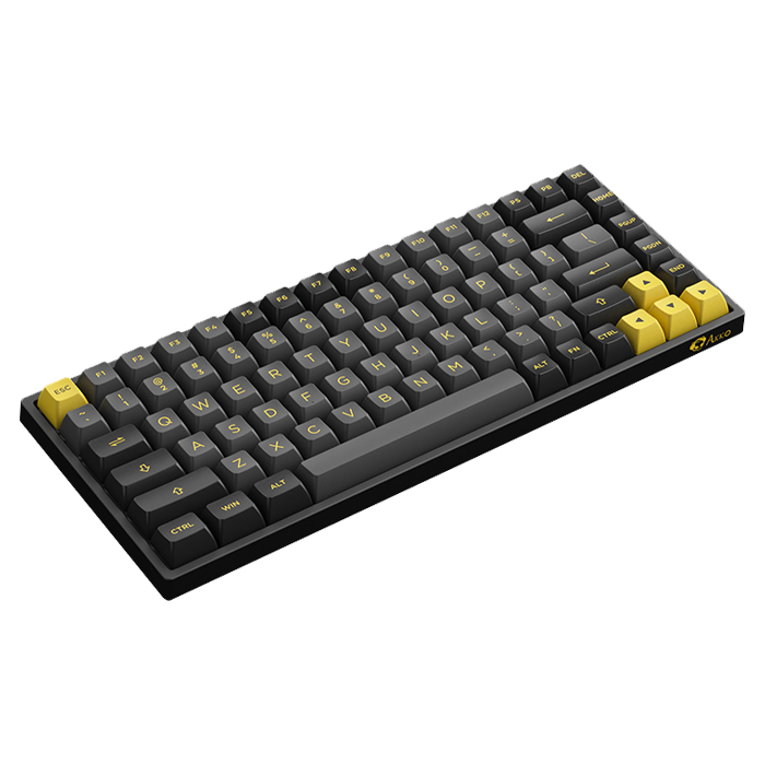 Buy Akko 3084B Plus Black/Gold RGB Hot-Swap TTC Demon Switch ...