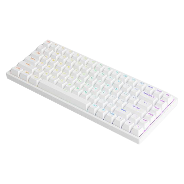 Buy Akko 3084S Shine-Through White RGB Hot-Swap CS Jelly Purple ...