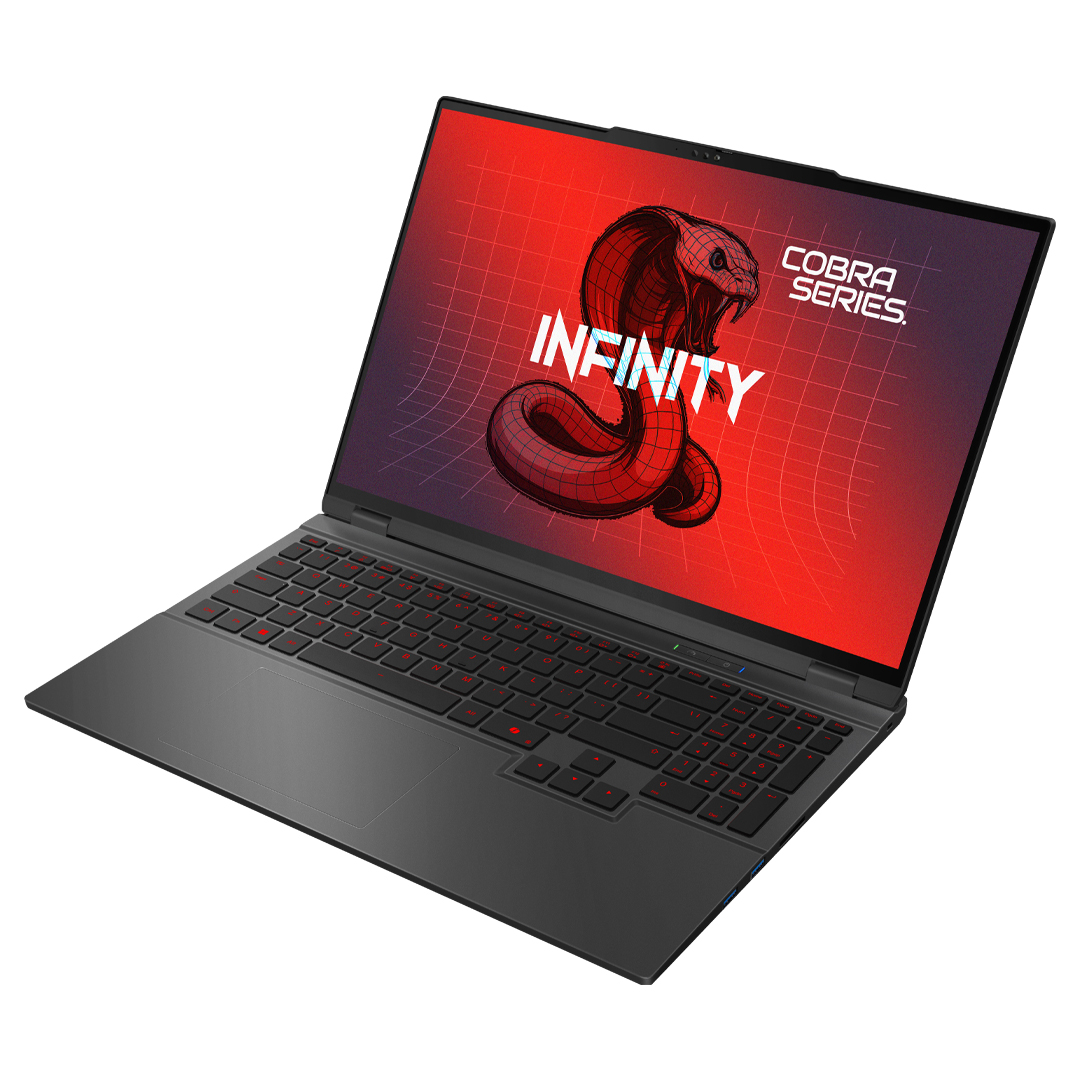 Buy Infinity Cobra Series Ryzen 9 RTX 5060 16in 180Hz Gaming Laptop [COBRA-6-DRAR9-899] | PC ...