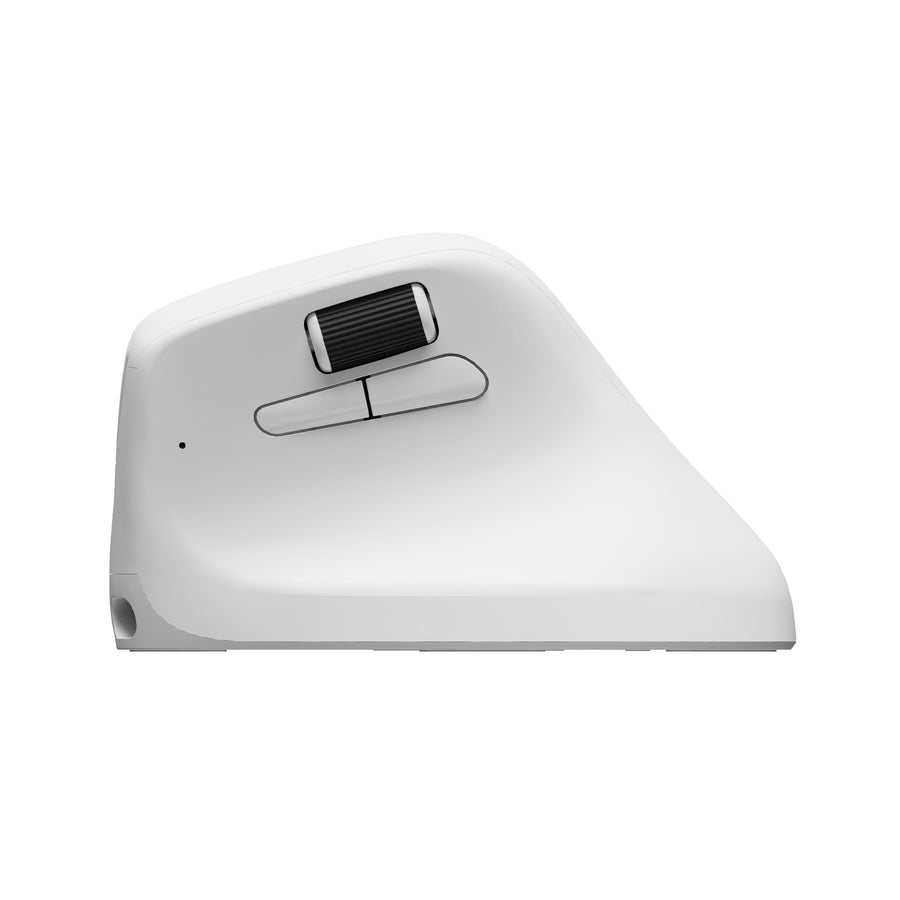 Buy Keychron M5 Wireless Ergonomic Mouse White [MSKCM5A24] | PC Case ...