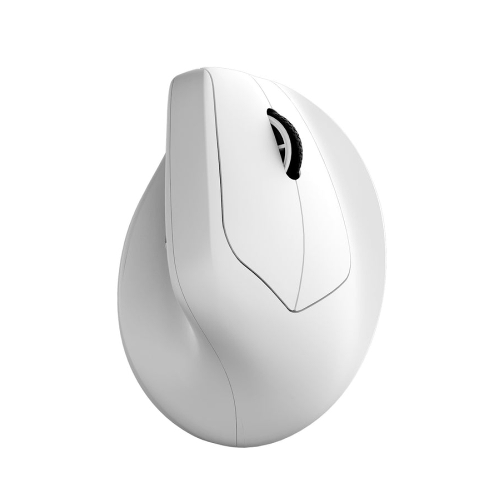 Buy Keychron M5 Wireless Ergonomic Mouse White [MSKCM5A24] | PC Case ...