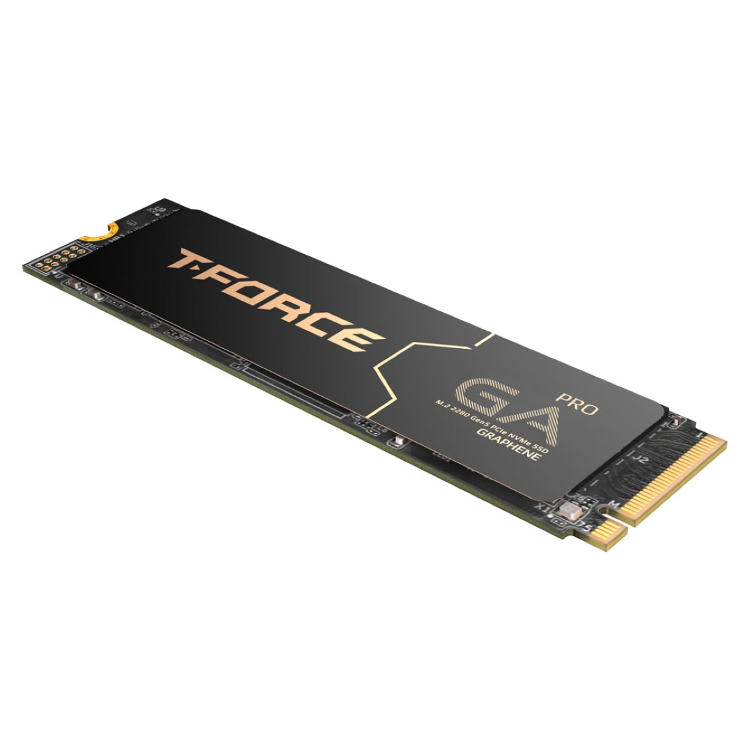 Buy Team T-Force GA Pro NVMe PCIe Gen5 SSD 1TB [TM8FFJ001T0C129] | PC ...