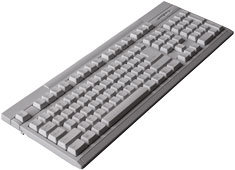 Buy Beige PS2 Standard Keyboard [KB-PS2] | PC Case Gear Australia